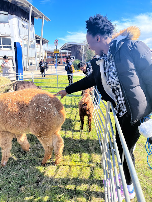 Farm animal fun day at St. Peter’s Campus – Spark