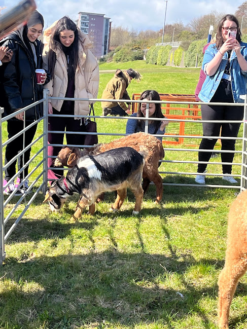 Farm animal fun day at St. Peter’s Campus – Spark